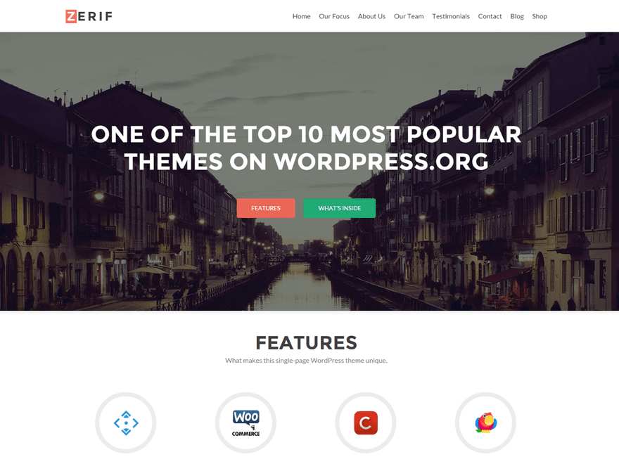 Top 10 Paid/Free Programmers WordPress Themes